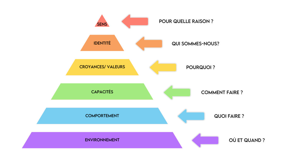 La pyramide des niveaux logiques : un outil incontournable de ...